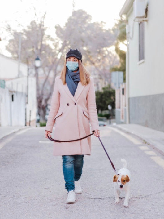 How to Get Your Dog Used to You Wearing a Face Mask – Molly Barker