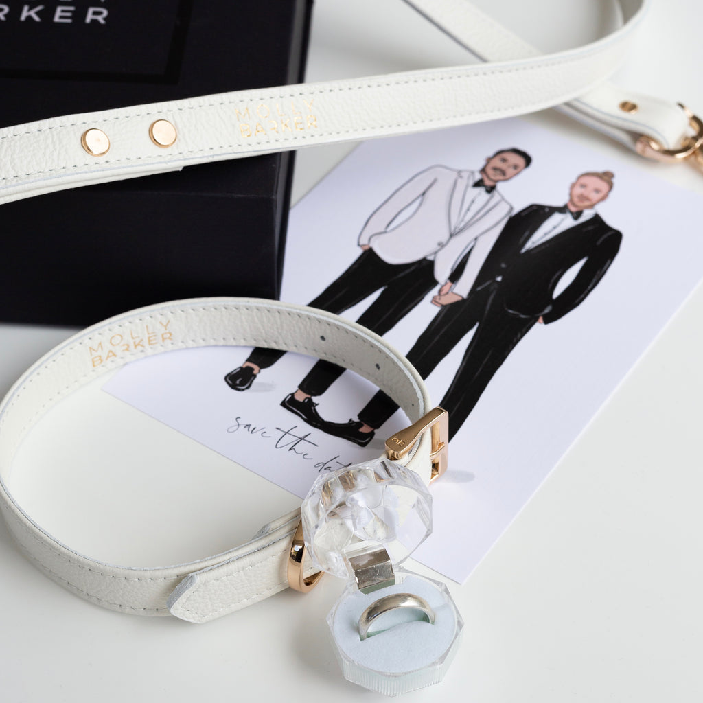 Bella Handmade Designer Leather Dog Collar - Molly Barker Australia